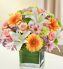 Thoughts of Comfort Bouquet: Multicolor Pastel Sympathy Bouquet ...