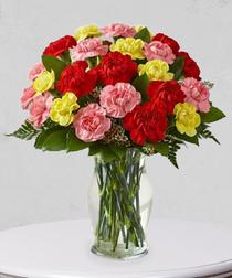 Carnation Delight Bouquet - Flower Bouquet Denver, CO, Veldkamp's Denver CO